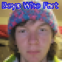 The Official Boyswhofart Project - Minecraft Modpacks - CurseForge