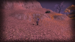 iShadow - World of Warcraft Addons - CurseForge