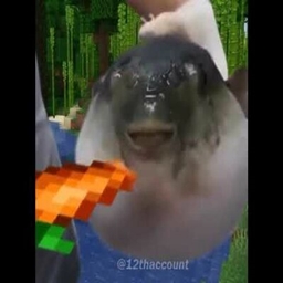 Fish's Mess - Minecraft Modpacks - CurseForge