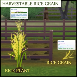 HARVESTABLE RICE GRAIN - The Sims 4 Mods - CurseForge