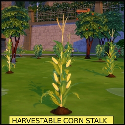 HARVESTABLE CORN - The Sims 4 Mods - CurseForge