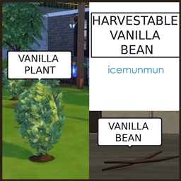 Download Harvestable Vanilla Bean - The Sims 4 Mods - CurseForge