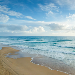 Vast Ocean - Minecraft Modpacks - CurseForge