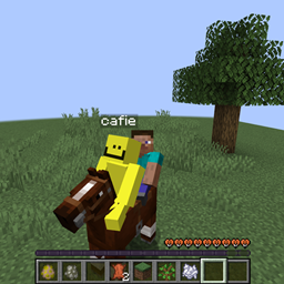Kaffee's Dual Ride - Minecraft Mods - CurseForge