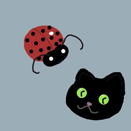 Miraculous Ladybug Clothing - Minecraft Mods - CurseForge