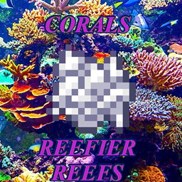 Corals: Reefier Reefs - Minecraft Mods - CurseForge
