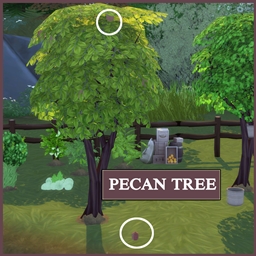 HARVESTABLE PECAN - The Sims 4 Mods - CurseForge