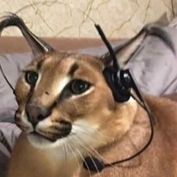 The Floppa Adventures - Minecraft Modpacks - CurseForge