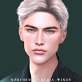 Noah Face Mask - Create a Sim - The Sims 4 - CurseForge
