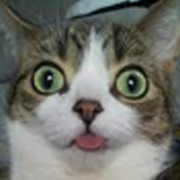 CatCore - Minecraft Modpacks - CurseForge