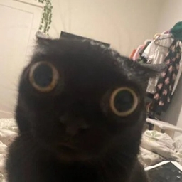 Parasite Apocalypse - Hell on Earth - Minecraft Modpacks - CurseForge