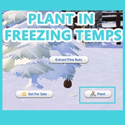 Plant in freezing temps override - The Sims 4 Mods - CurseForge