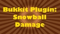 Overview - Snowball Damage - Bukkit Plugins - Projects - Bukkit