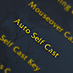 SelfCastSetter - World of Warcraft Addons - CurseForge