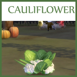 Harvestable Cauliflower - The Sims 4 Mods - CurseForge