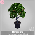 Clementine [Harvestable Ind... - Mods - The Sims 4 - CurseForge