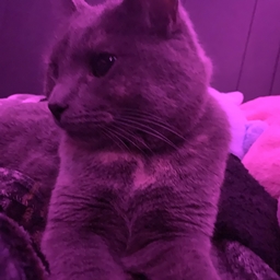 Mythicality Medieval - Minecraft Modpacks - CurseForge