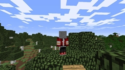 Hat Plugin - Minecraft Bukkit Plugins - CurseForge