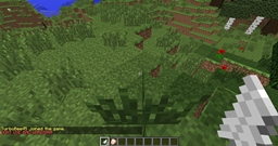 Hat Plugin - Minecraft Bukkit Plugins - CurseForge