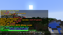 SysInfo - Gallery - Minecraft Bukkit Plugins - CurseForge