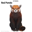 Red Panda - Cat - The Sims 4 Sims / Households - CurseForge