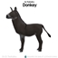 Donkey for the Animal Shed - The Sims 4 Build / Buy - CurseForge