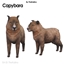 Capybara Dog - Gallery - The Sims 4 Sims / Households - CurseForge