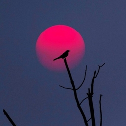 Scorched Acres - Minecraft Modpacks - CurseForge