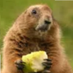 Working Alarm Clocks - The Sims 4 Mods - CurseForge