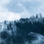 Eldritch Forest - Minecraft Mods - CurseForge