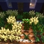 CTOV - Croptopia compatibility pack - Minecraft Resource Packs - CurseForge