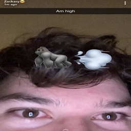 Vibe Kast SMP Remastered - Minecraft Modpacks - CurseForge