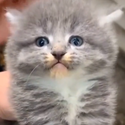 Cosmic Stuff - Gallery - Minecraft Modpacks - CurseForge