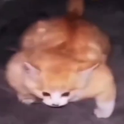 The Memester Bundle - Files - Minecraft Modpacks - CurseForge