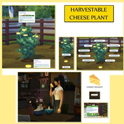 Harvestable Cheese - The Sims 4 Mods - CurseForge