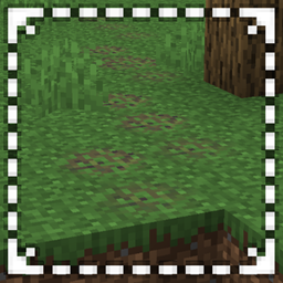 Forest Trails - Minecraft Mods - CurseForge