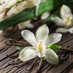 Nui's Simple Life - Minecraft Modpacks - CurseForge