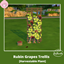 Rubin Trellis - The Sims 4 Mods - CurseForge