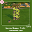 Mavrud Trellis - The Sims 4 Mods - CurseForge