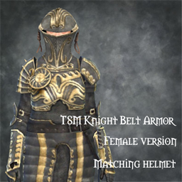 TSM Knight Belt Armor for ladies - with matching helm - The Sims 4 ...