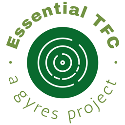 Essential TerraFirmaCraft (TFC) - Files - Minecraft Modpacks - CurseForge