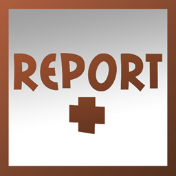 ReportsPlus - Minecraft Bukkit Plugins - CurseForge