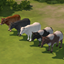 Deco Animals for your world - The Sims 4 Build / Buy - CurseForge