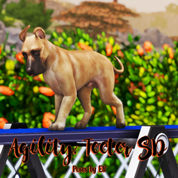 Agility Series (Teeter) - Small Dog 💨 - File - The Sims 4 Mods - CurseForge