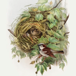 In the nest - Minecraft Modpacks - CurseForge