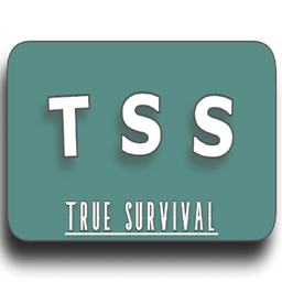 TSS - Minecraft Modpacks - CurseForge