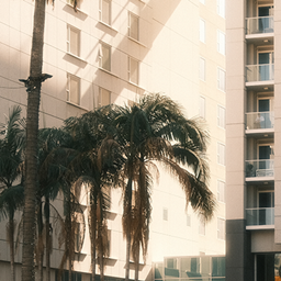 Pebblemon - Minecraft Modpacks - CurseForge