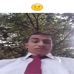 Gigglin'Gremlin - Minecraft Modpacks - CurseForge