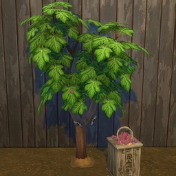 Install Fig by BrazenLotus Spanish translation - The Sims 4 Mods - CurseForge