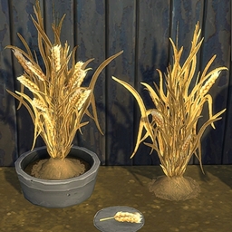 Wheat by BrazenLotus Spanish translation - The Sims 4 Translations ...